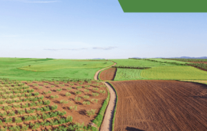 Broadacre Crops – Eco Road Hero